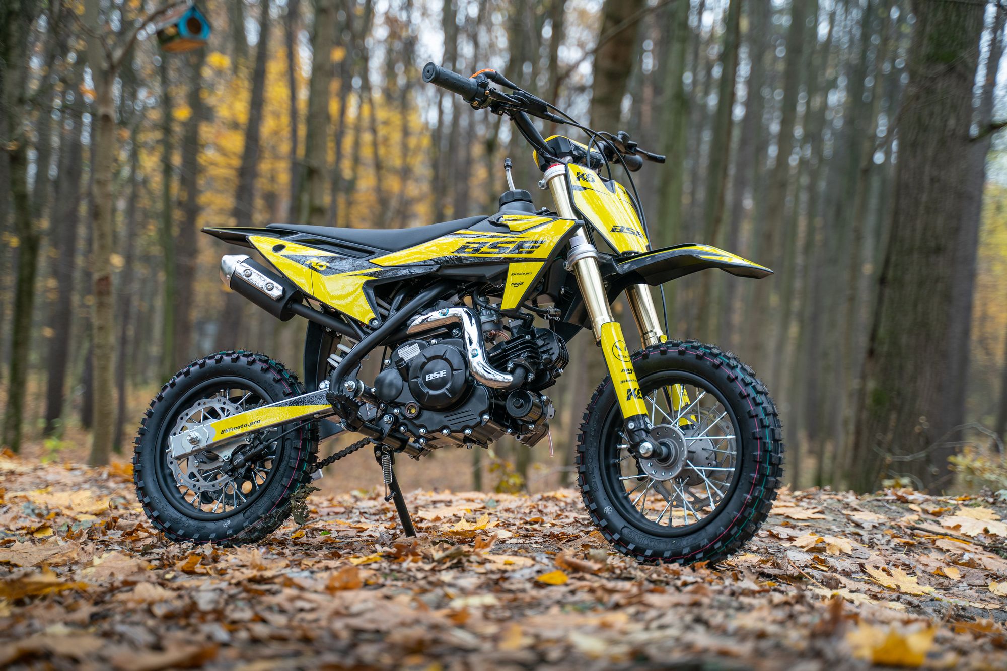 Питбайк BSE K6 Yellow Twister: купить в Москве, цены